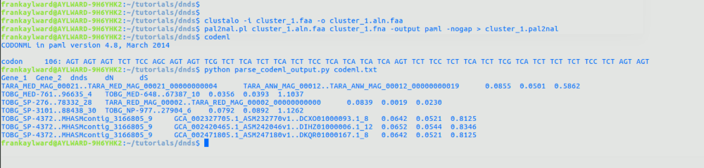 Introduction To Calculating Dnds Ratios With Codeml